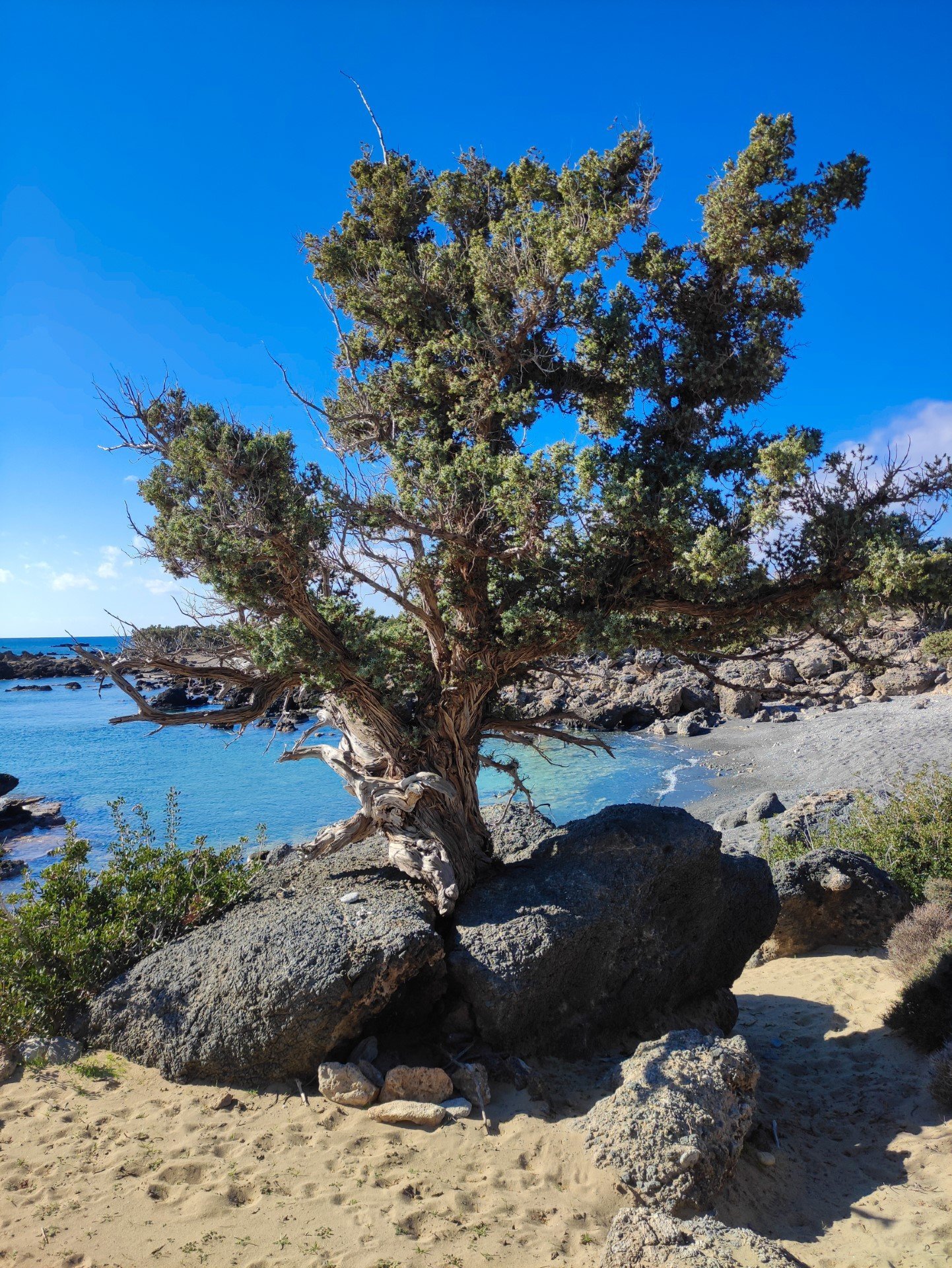 Kedrodasos Beach, Discover the Unspoiled Beauty Of Crete, Greece ...