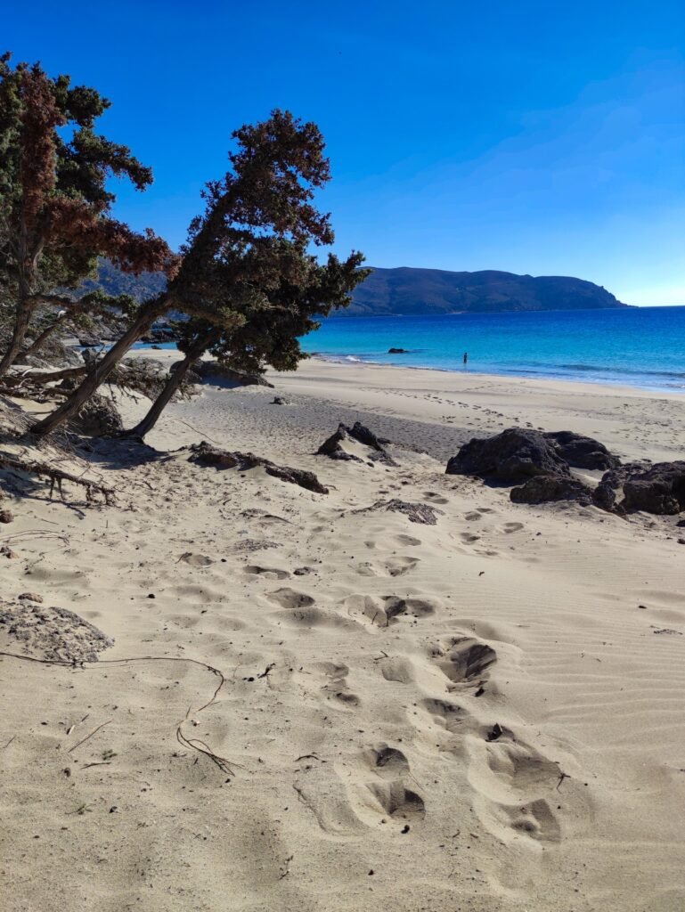 Kedrodasos Beach, Discover the Unspoiled Beauty Of Crete, Greece ...