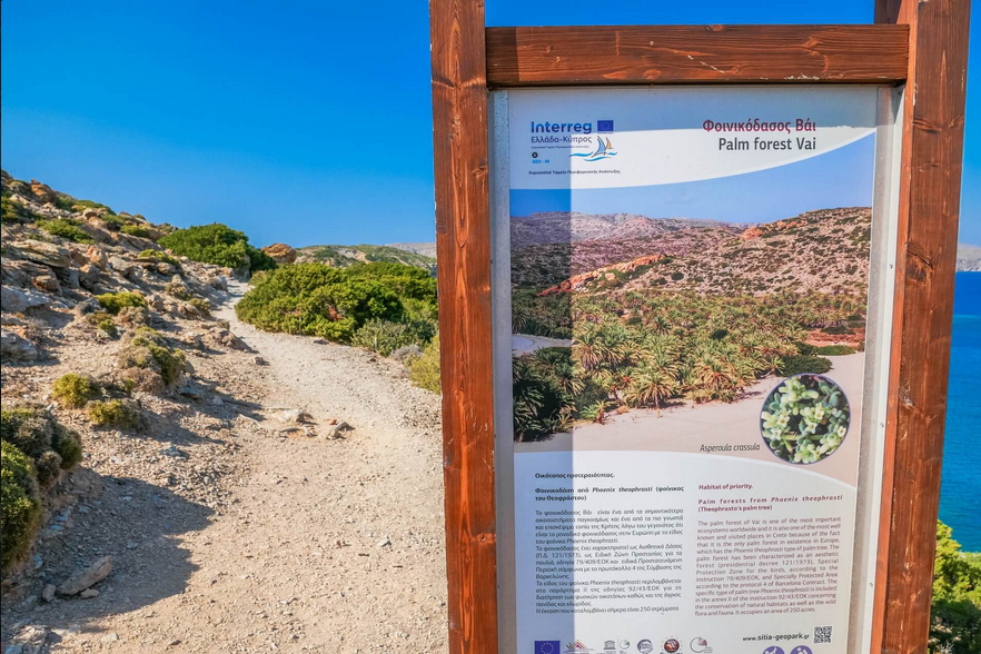 Exploring Vai Beach, Palm Forest | TriptoCrete.com | Your Travel Guide ...
