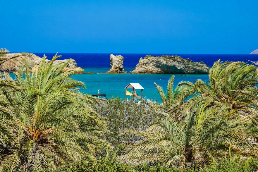 Exploring Vai Beach, Palm Forest | TriptoCrete.com | Your Travel Guide ...